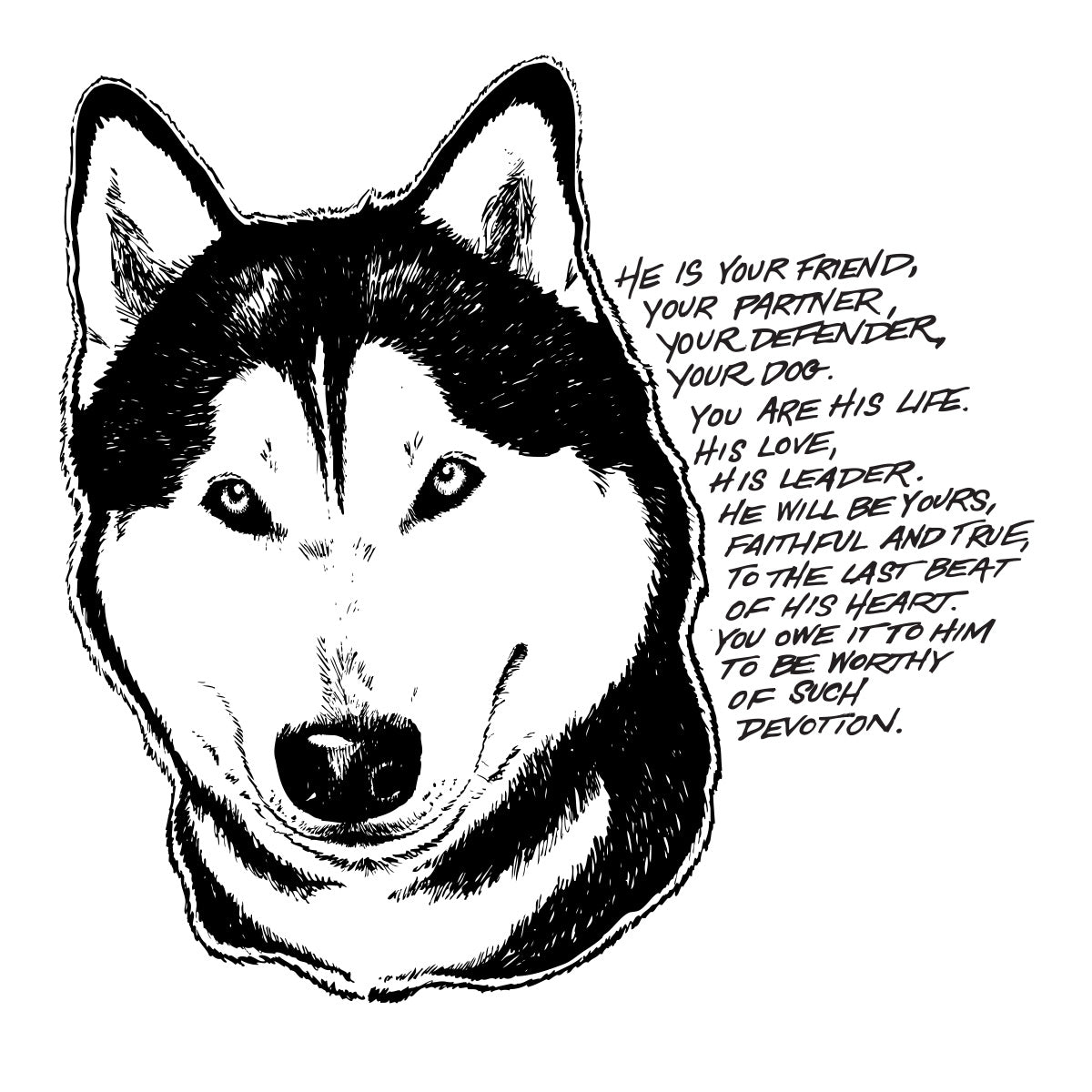 Husky Devotion – Rockin Da Dogs